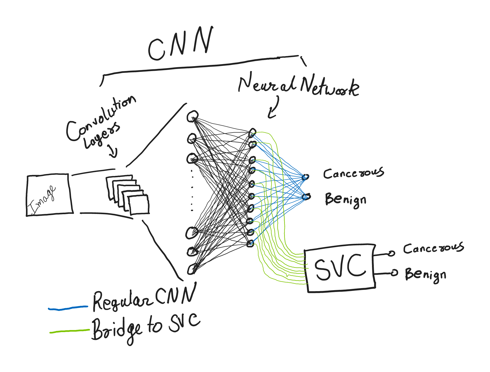 Enhancing Cnns Using Svcs | ROBTAA